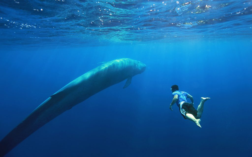 Underwater Photographer of the Week: Patrick Dykstra - Underwater360