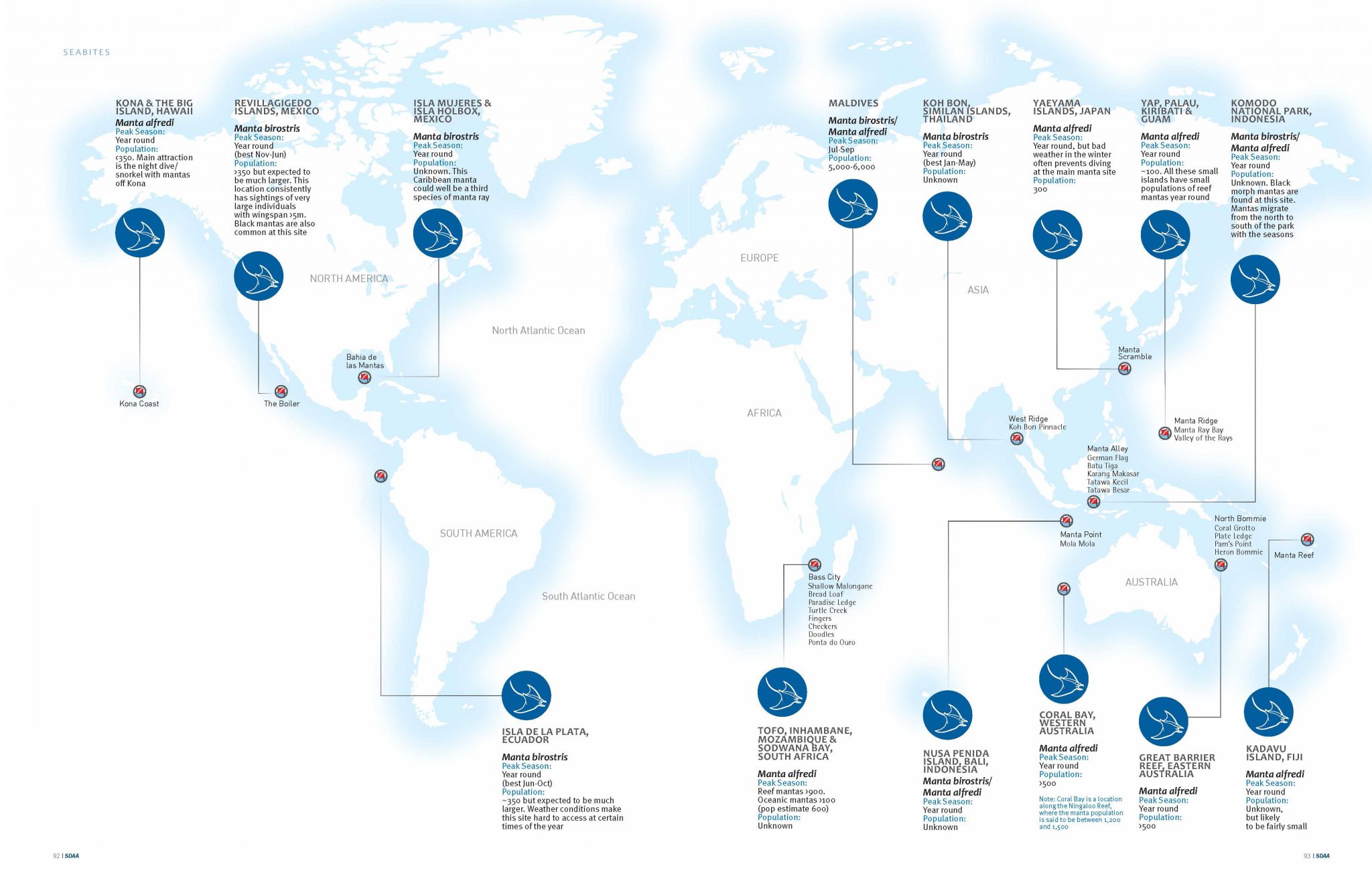 Manta Vista: 14 Places To Find Manta Rays - Underwater360