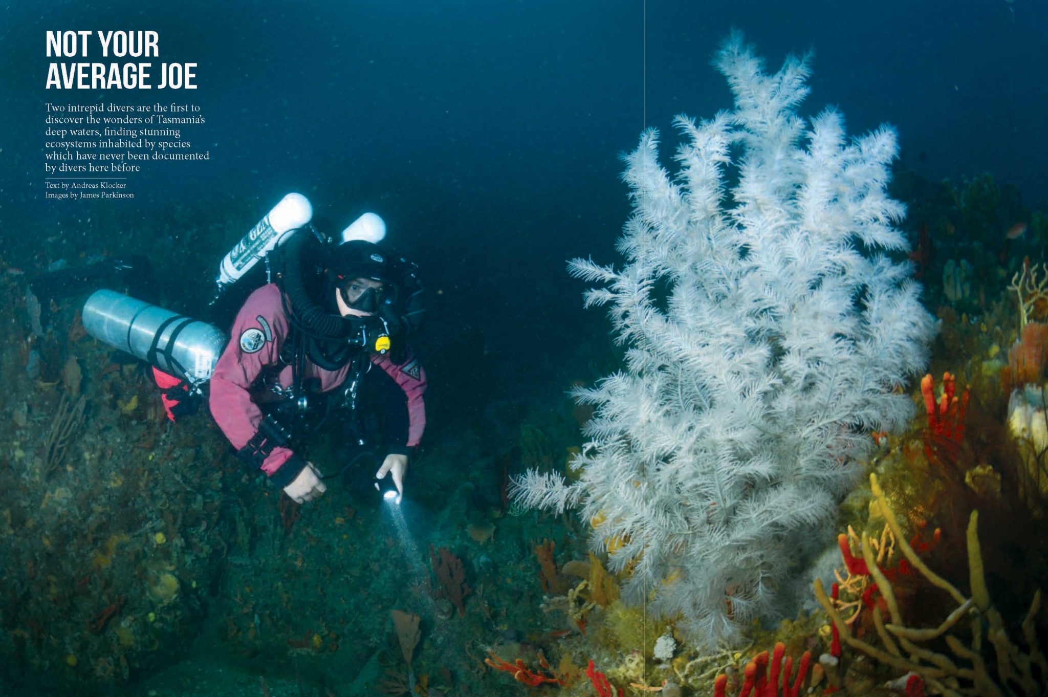 Not Your Average Joe - Underwater360