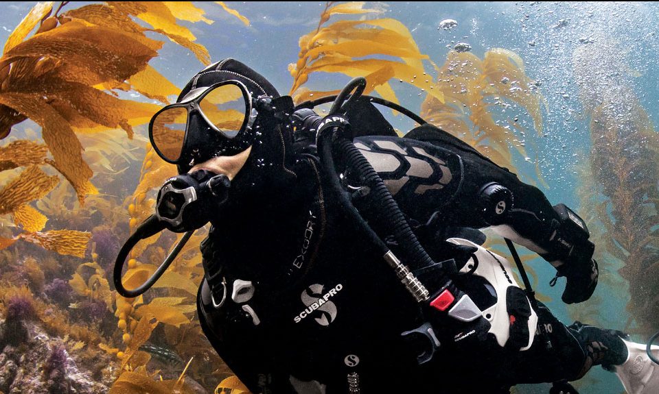 Club 25 Profile – Scubapro - Underwater360