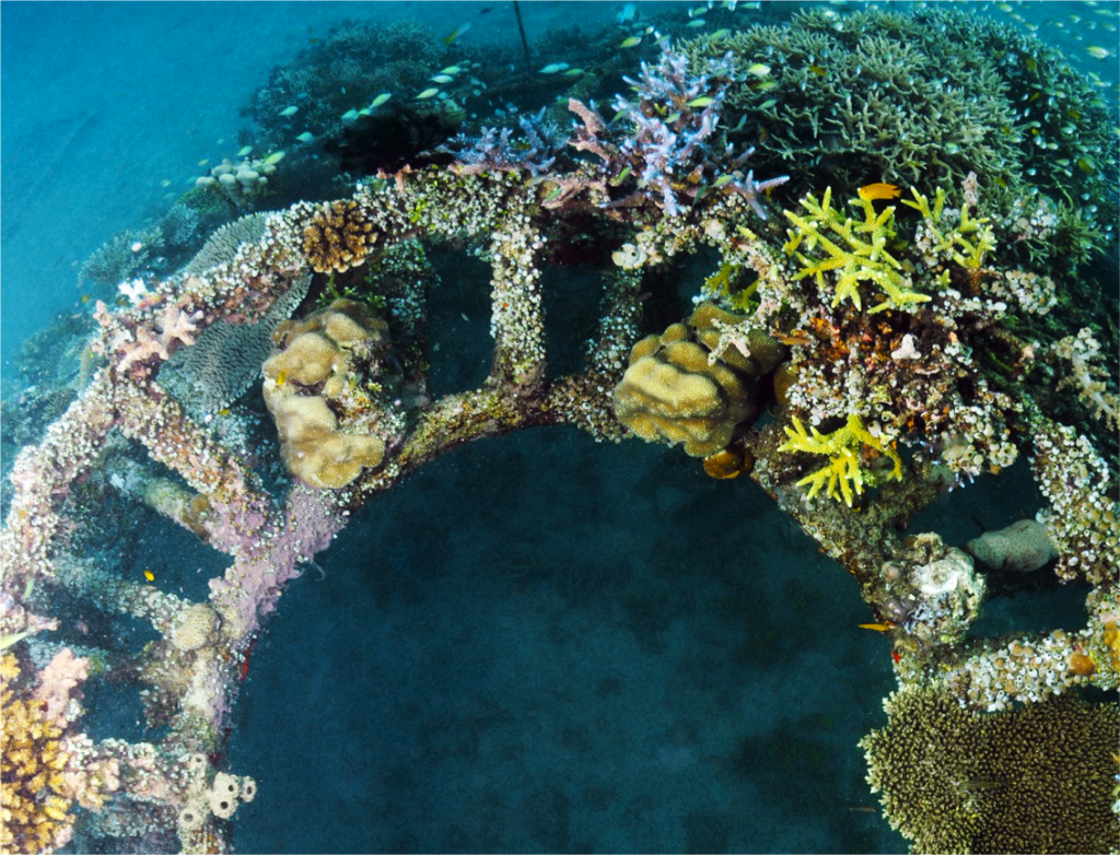 Karang Lestari - Underwater360
