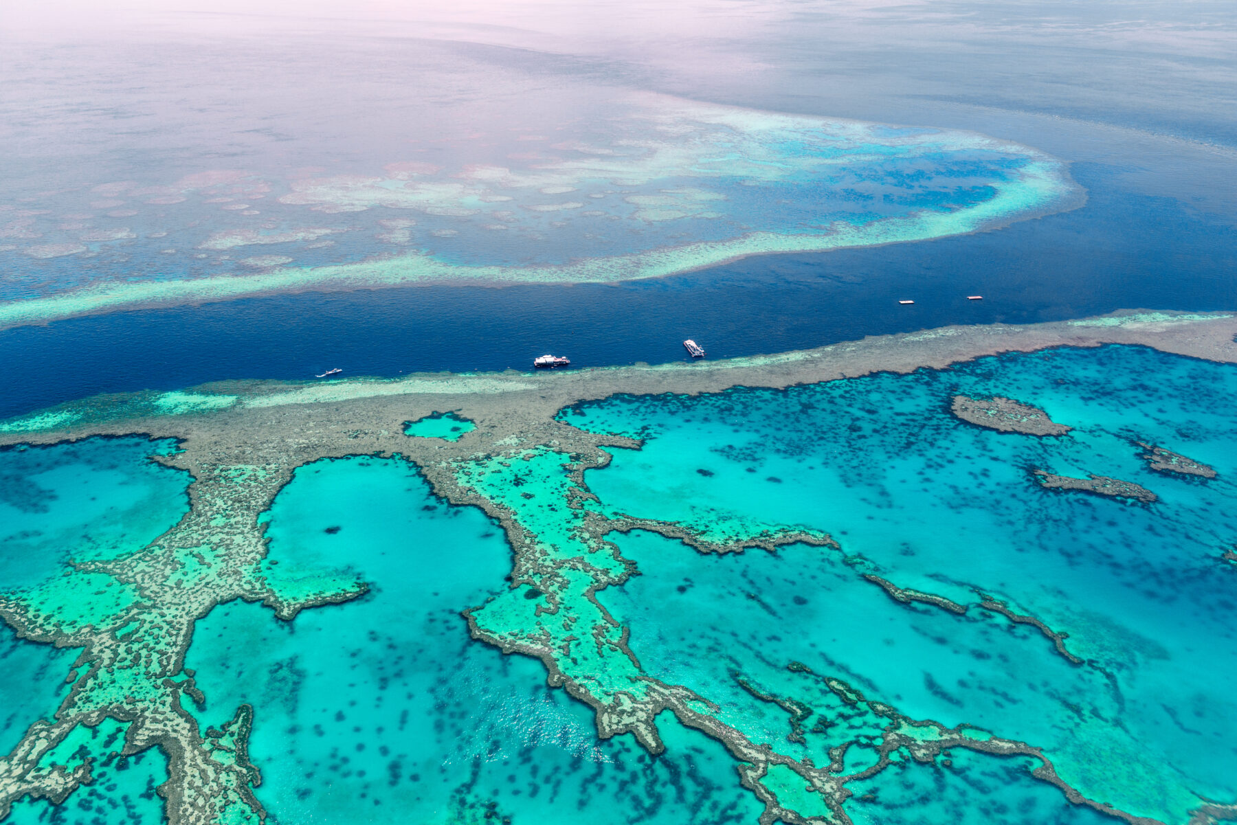 5 Must Dive Sites In The Great Barrier Reef Marine Park Underwater360 5 Must Dive Sites In The Great Barrier Reef Marine Park Underwater360